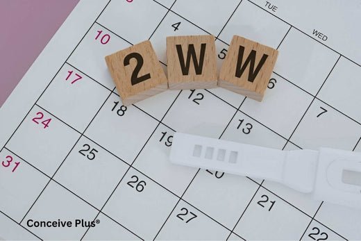 2 Week Wait: What to Know | Conceive Plus®