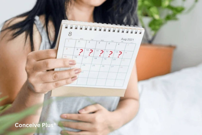 26 Day Menstrual Cycle Getting Pregnant | Conceive Plus®