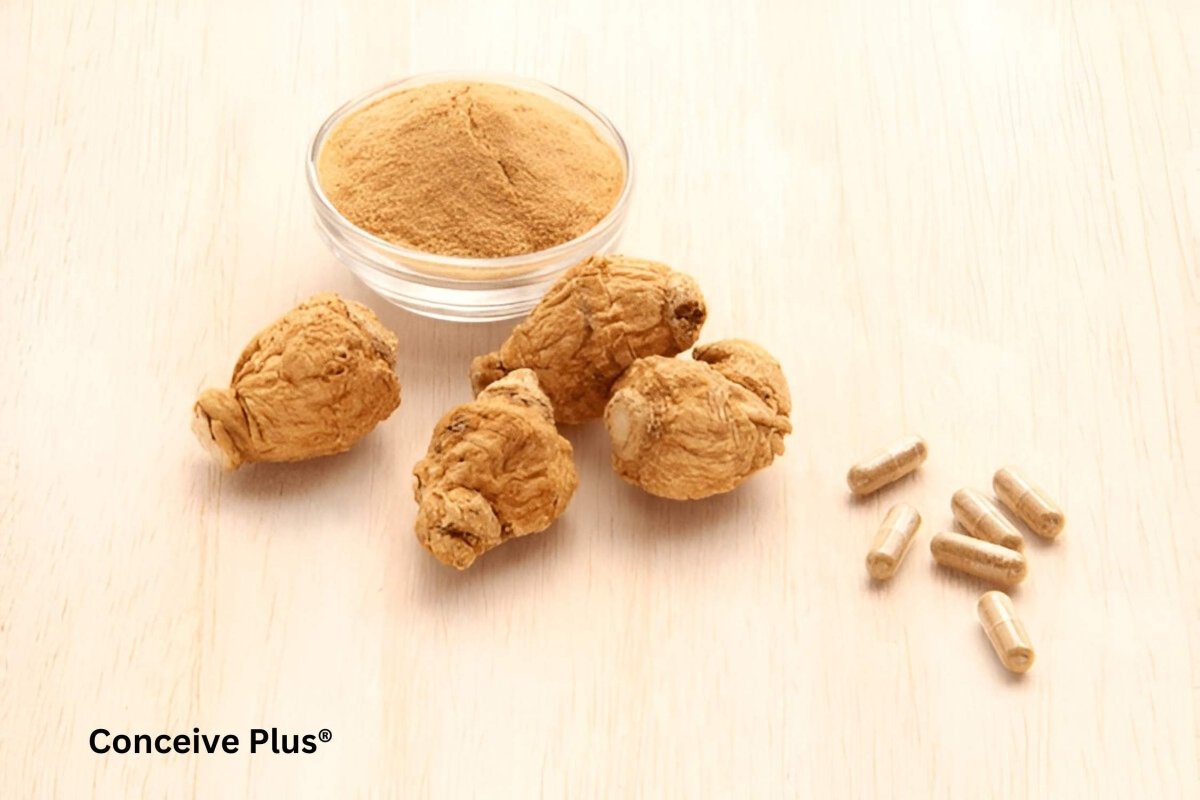 Best Maca Root for Fertility | Conceive Plus®