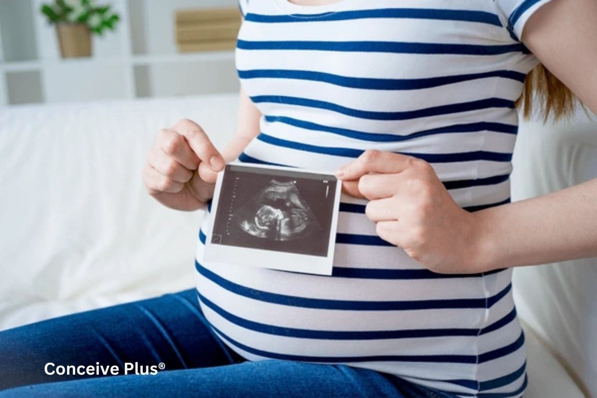 Can You Get Pregnant While Pregnant | Conceive Plus®