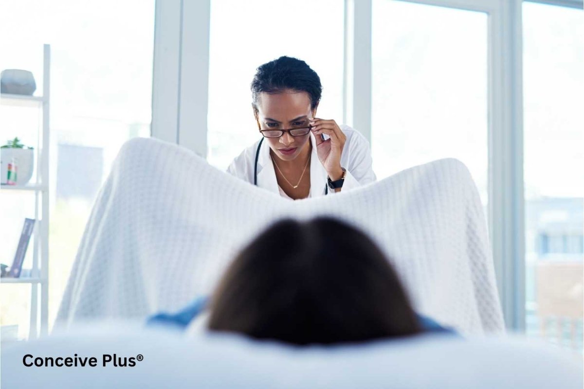 Flujo antes del período vs. flujo al comienzo del embarazo | Conceive Plus®