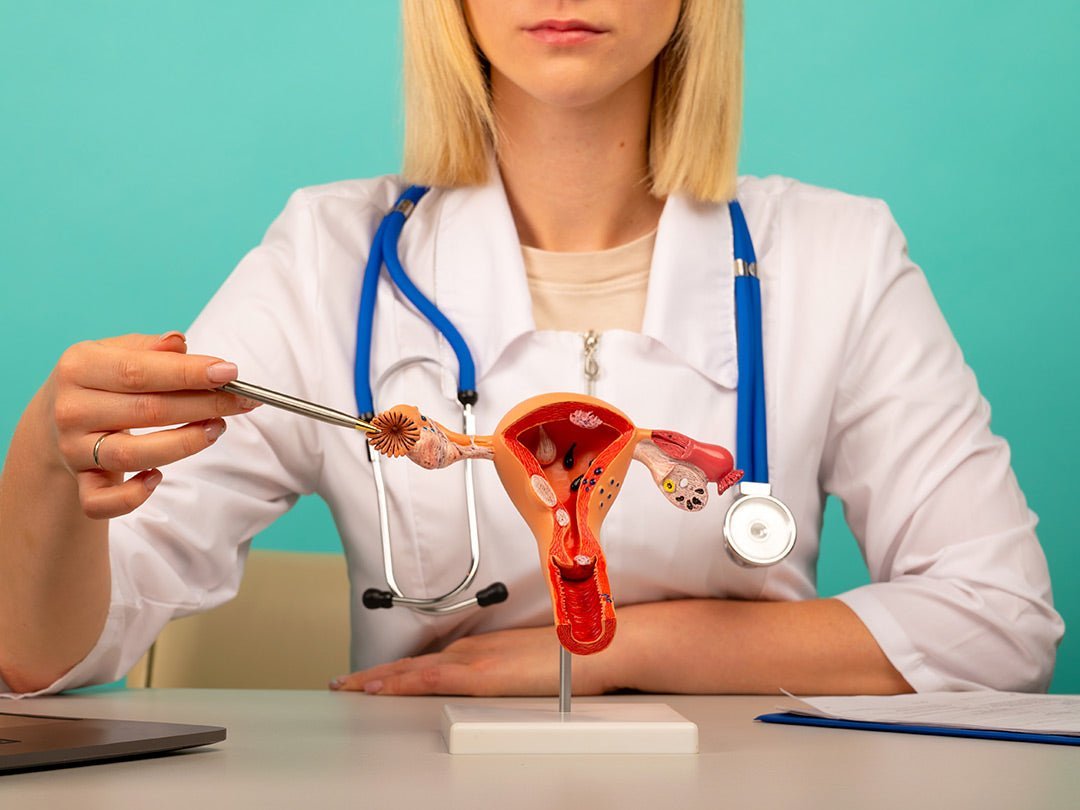 Fertility Specialist: Reproductive Health | Conceive Plus®