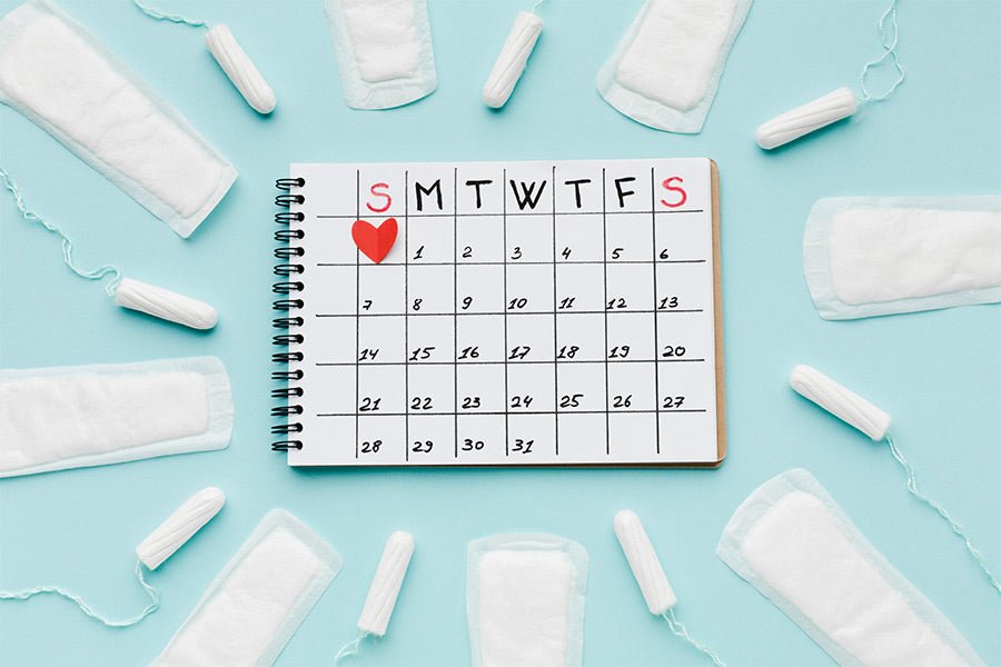 How Do You Track Ovulation | Conceive Plus® – Conceive Plus® Online Store