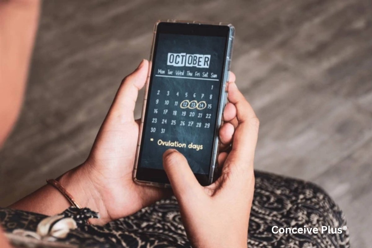 Calculate Ovulation with Clomid Calculator? | Conceive Plus®