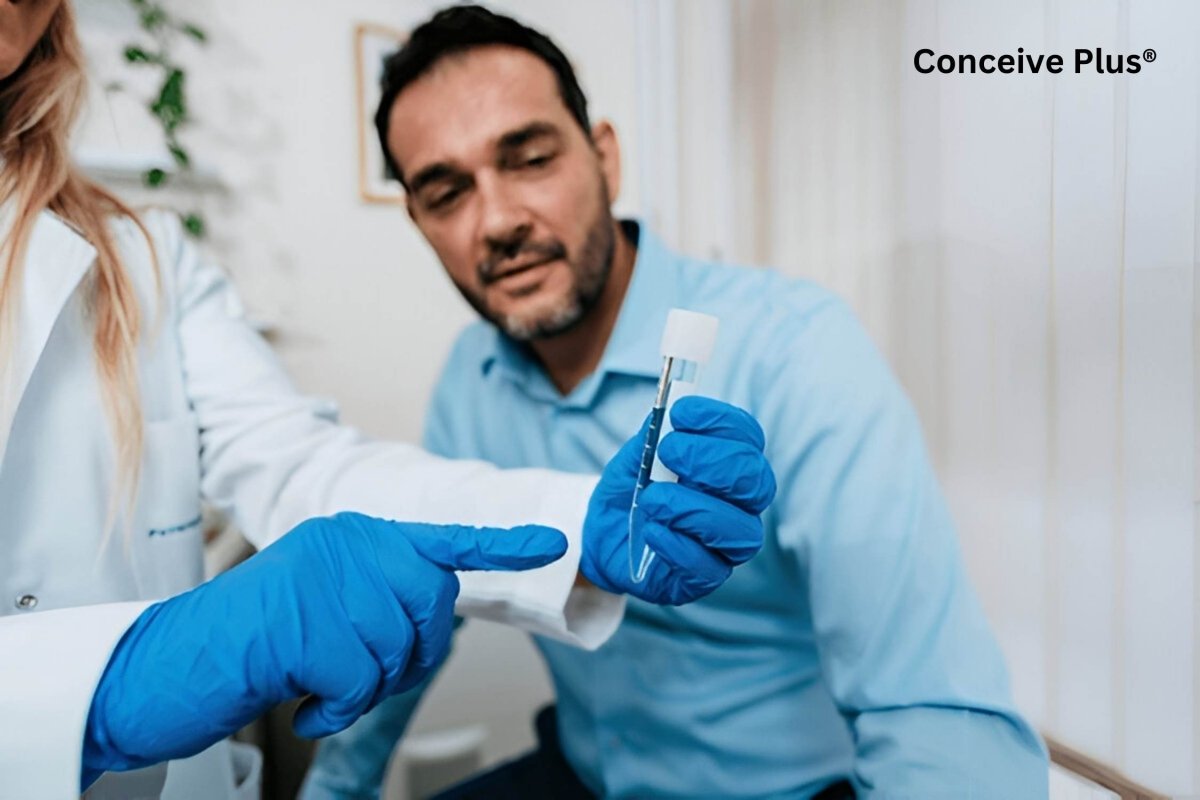 How to Increase Semen Volume | Conceive Plus®