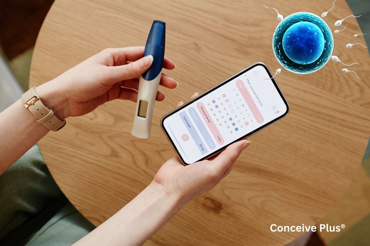 How to Use an Ovulation Calculator? | Conceive Plus® – Conceive Plus ...