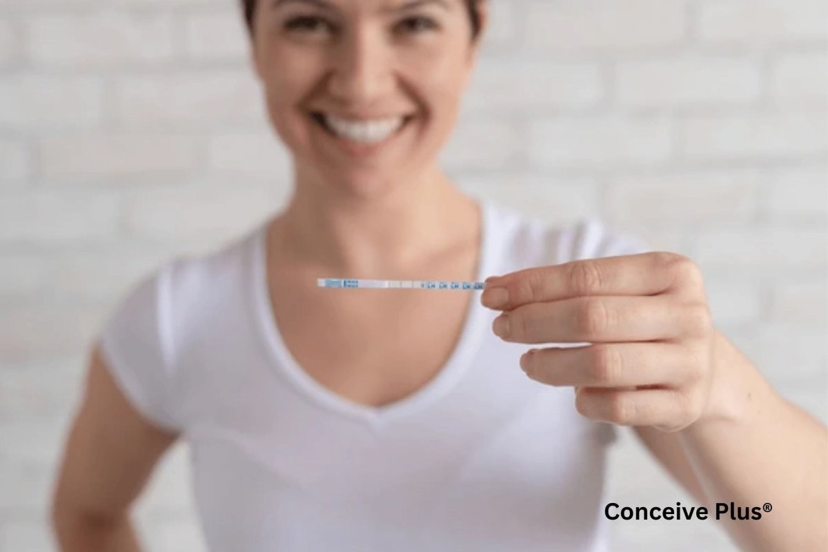 A Deep Dive into the LH and Ovulation Chart | Conceive Plus®