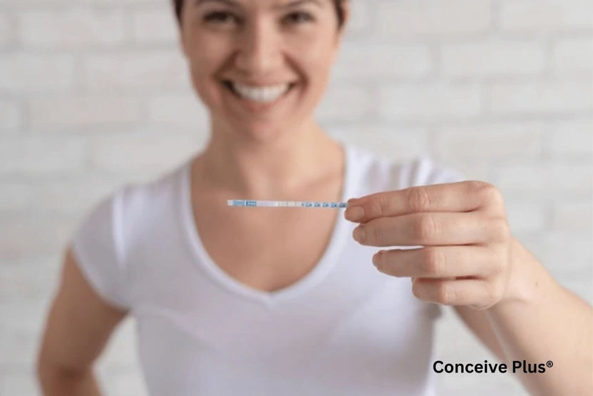 A Deep Dive into the LH and Ovulation Chart | Conceive Plus®