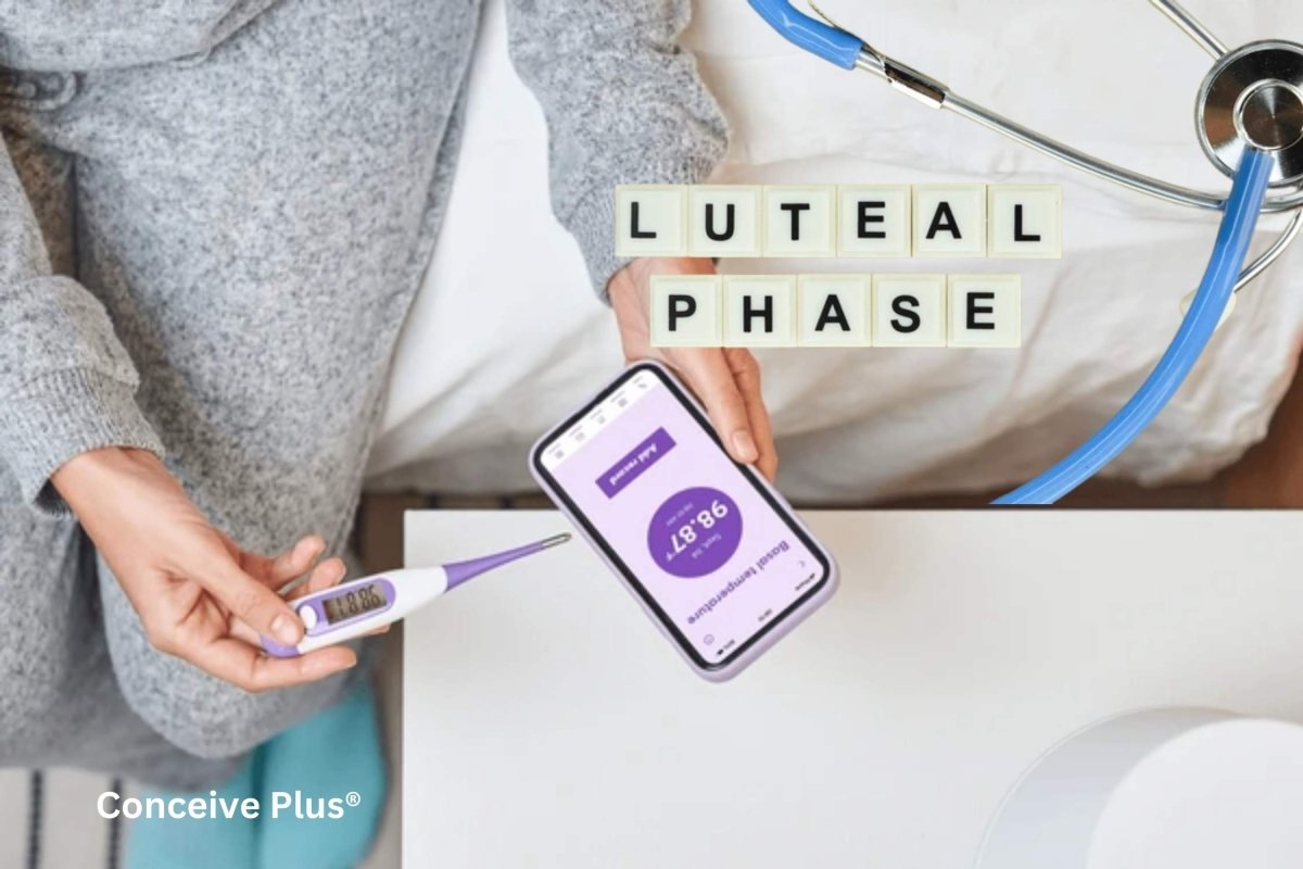 Luteal Phase Calculator: Tracking Fertility | Conceive Plus®