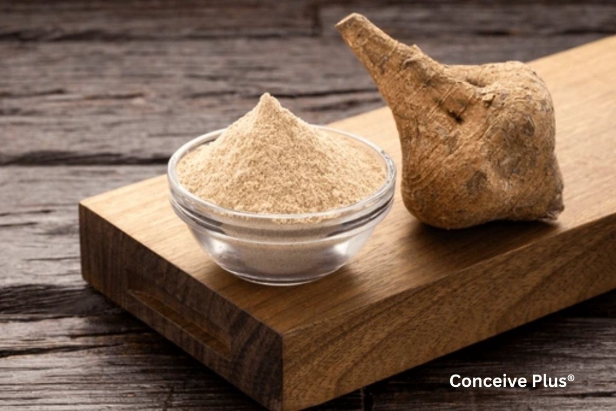 Maca vs Maca Root and their Benefits | Conceive Plus®