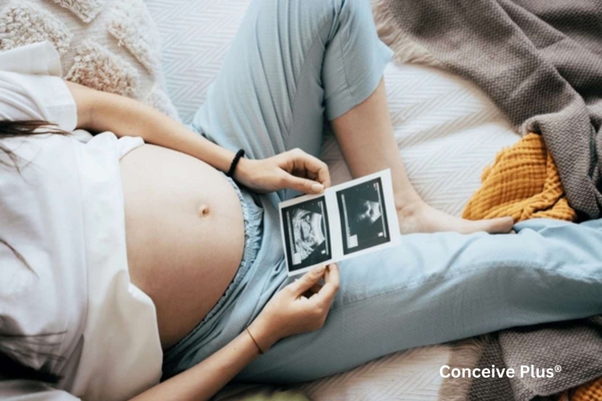 Pregnancy Estimator Test: A Smart Guide | Conceive Plus®