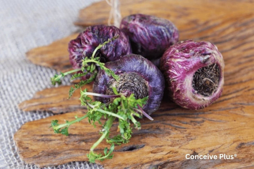 Red Maca Root: Unveiling an Ancient Marvel | Conceive Plus®