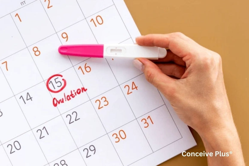 Symptoms Ovulation Is Over | Conceive Plus®