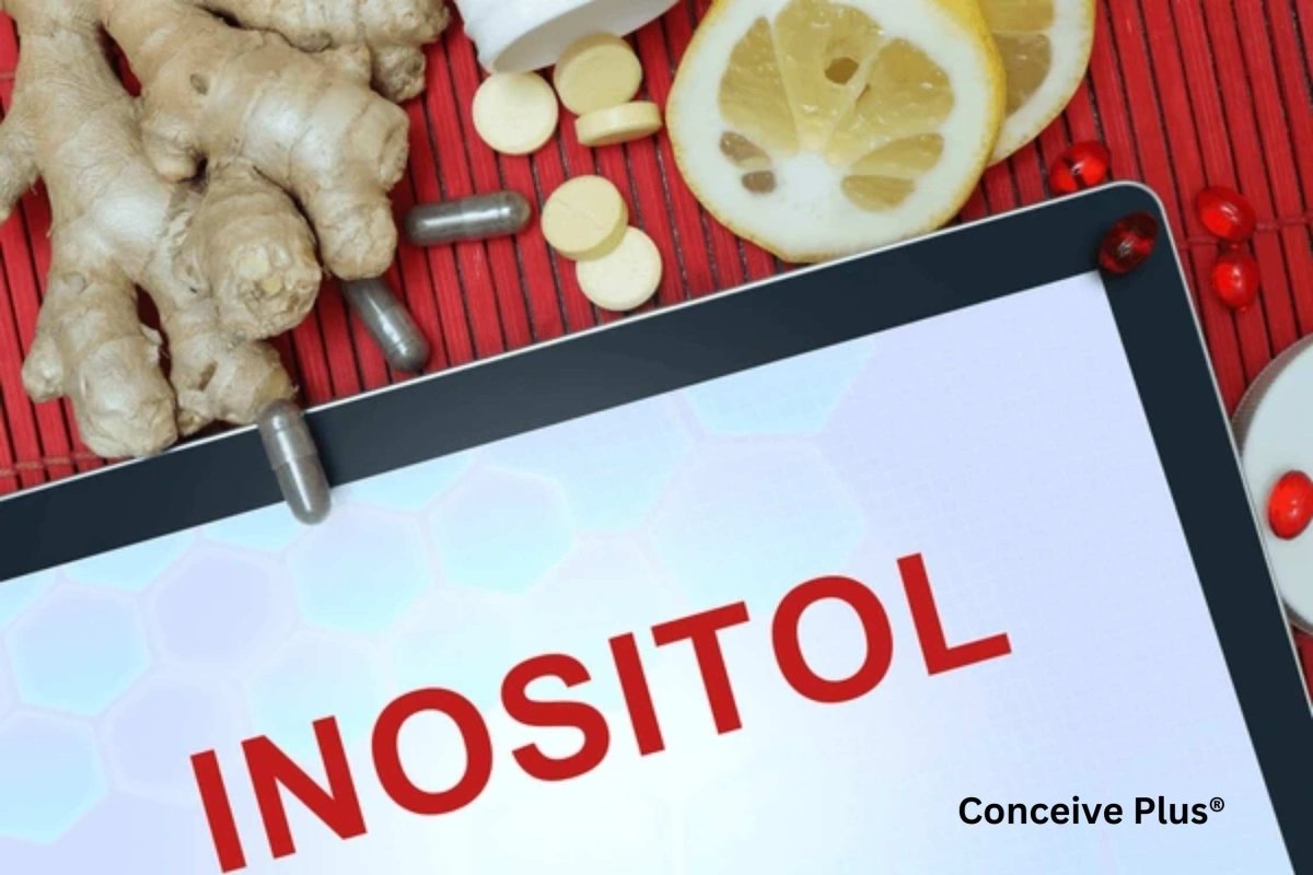 Alimentos ricos en inositol para incluir en la dieta | Conceive Plus®