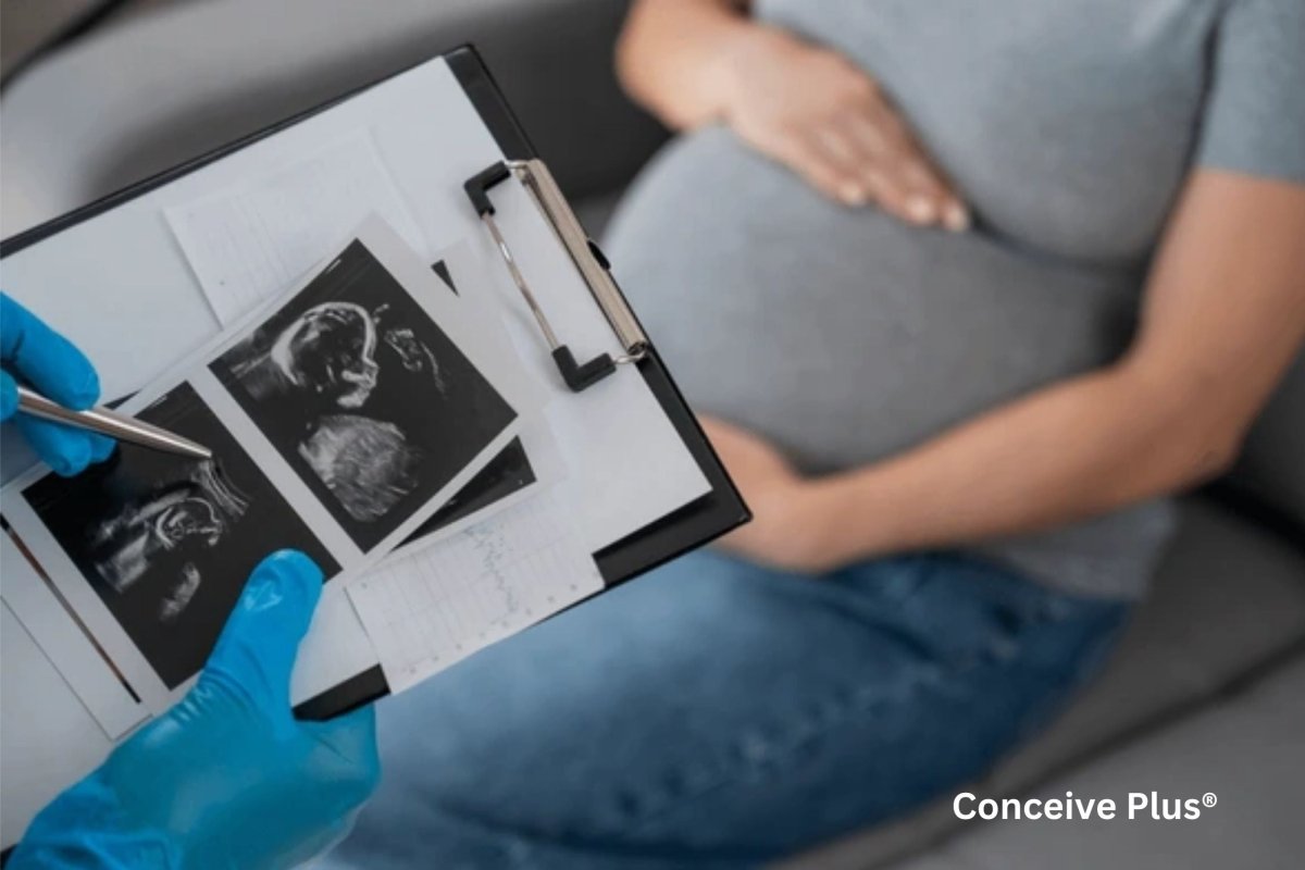 What Does Gestation Mean in Depth | Conceive Plus®