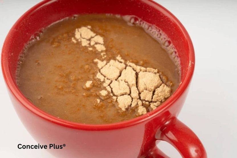 What Is Maca Coffee Good For? | Conceive Plus®