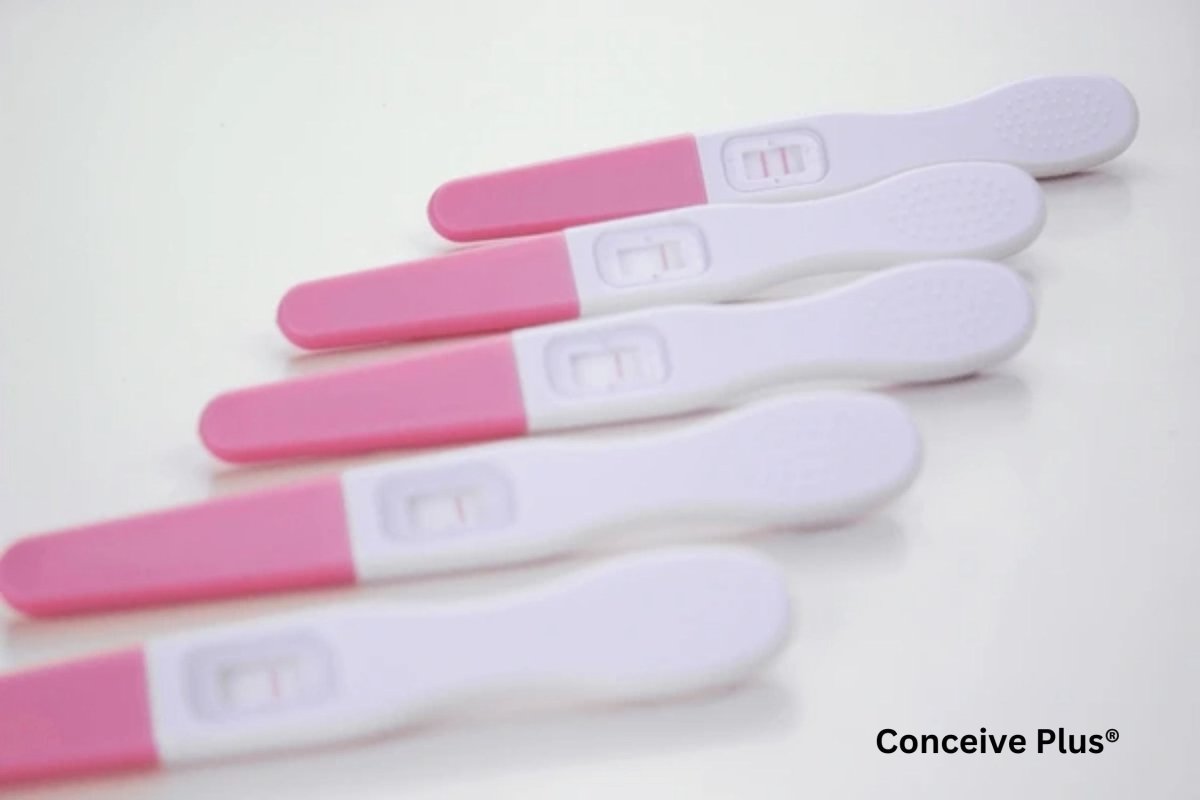 What Is False Positive Ovulation Test? | Conceive Plus®