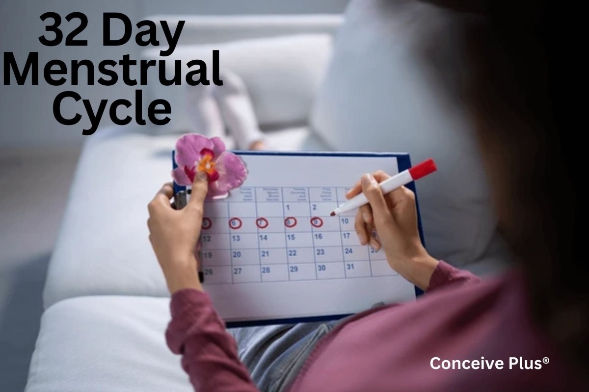 32 Day Menstrual Cycle | Conceive Plus®