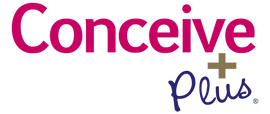 Anatomía de la ingle masculina | Conceive Plus®